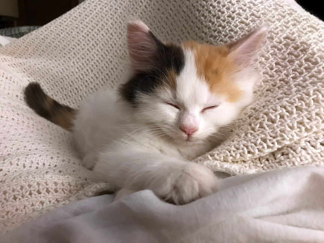 Relaxation. Rest. Repose. – Healthy & Grounded