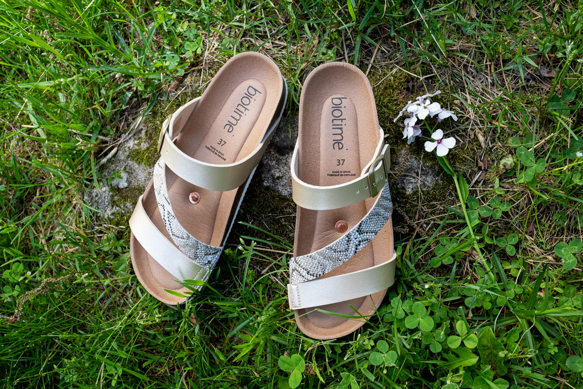 Vegan Gold – Healthy & Grounded