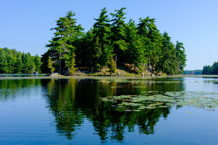 When Life Keeps You On Your Toes – Healthy & Grounded