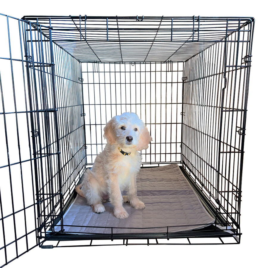 Dog Plush Earthing Pad Eliminate Pain & Inflammation While Pets Sleep ...