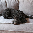 Dog Plush Earthing Pad Eliminate Pain & Inflammation While Pets Sleep ...
