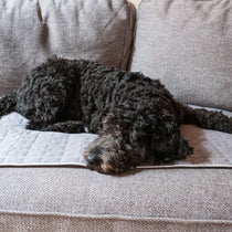 Dog Plush Earthing Pad Eliminate Pain & Inflammation While Pets Sleep ...